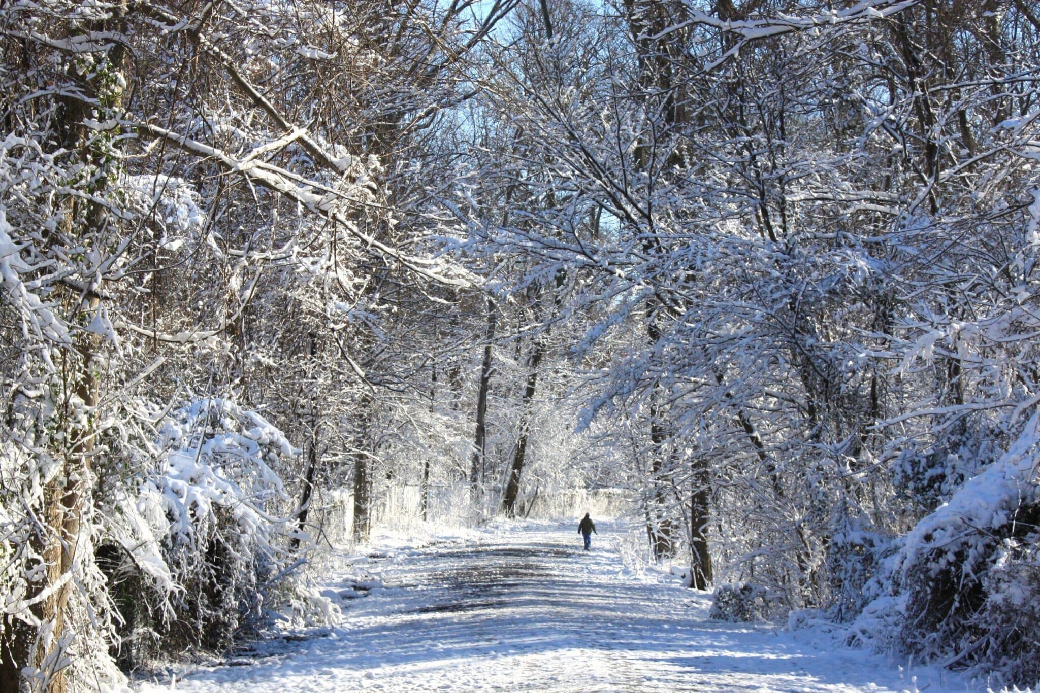 Does It Snow in Tennessee? All TN Locations with Snow - TravelMasta